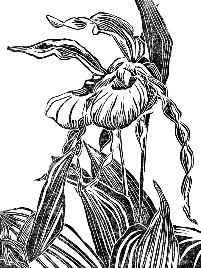 Lady Slipper Pair – original linoleum block print – Main Street Art